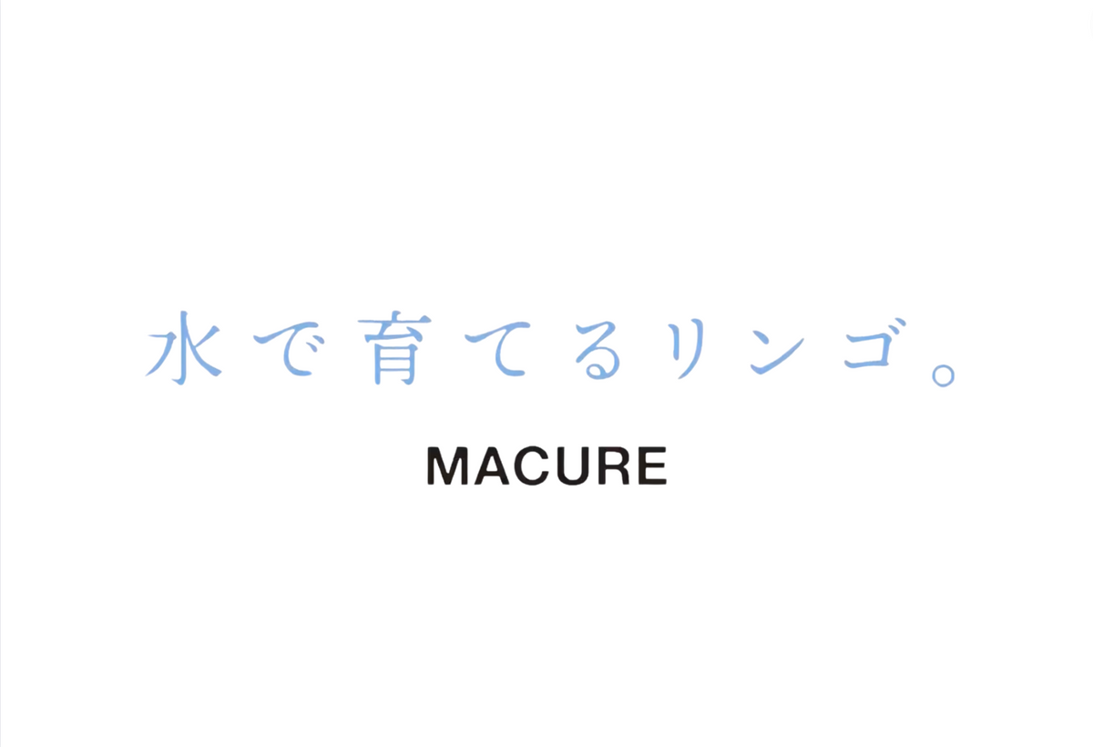 MACURE VISION 2024 – MACUREHOUSE ONLINE